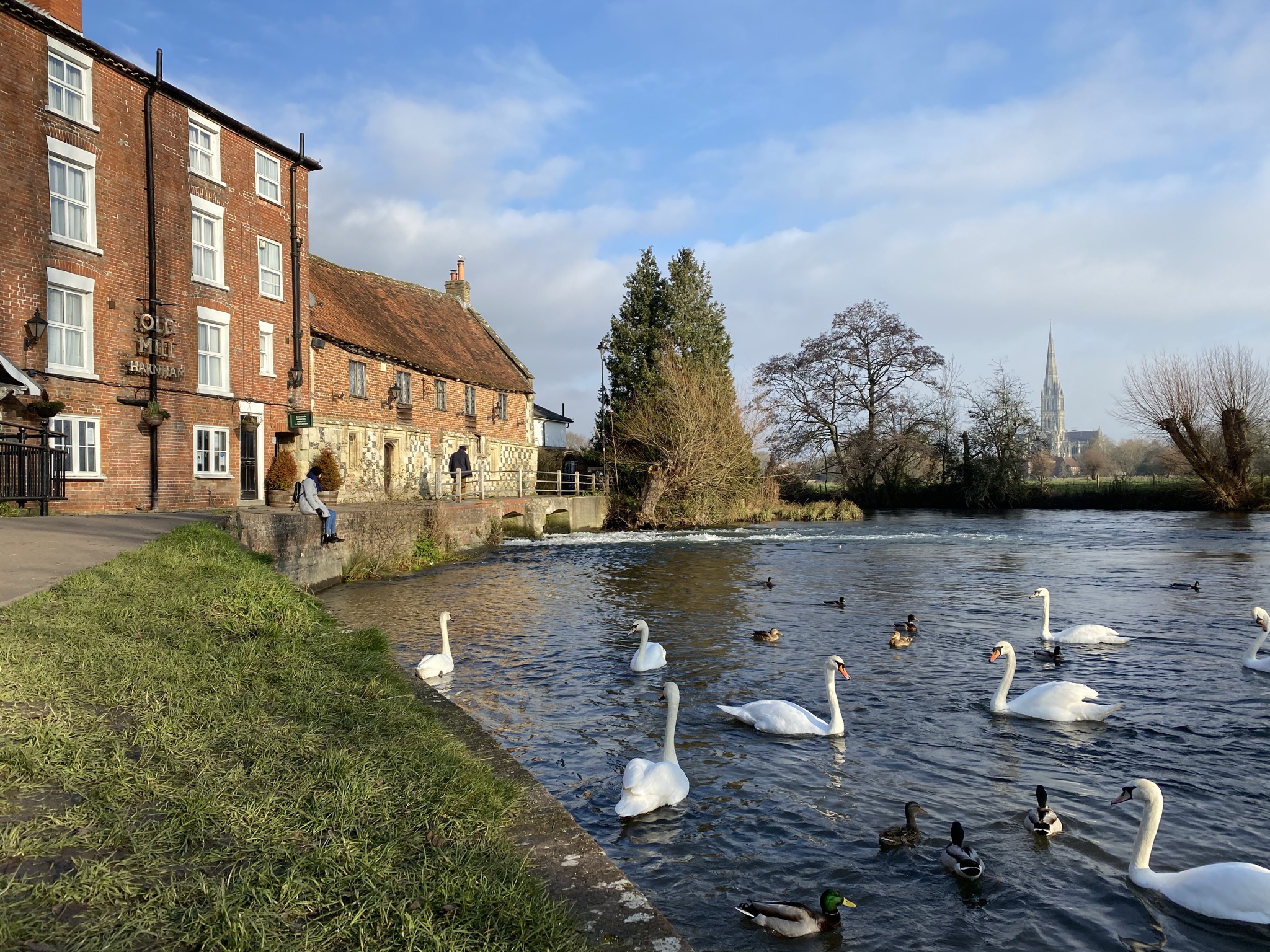 Churchill Gardens | Experience Salisbury